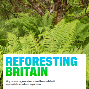 Using natural regeneration to reforest Britain | TABLE Debates